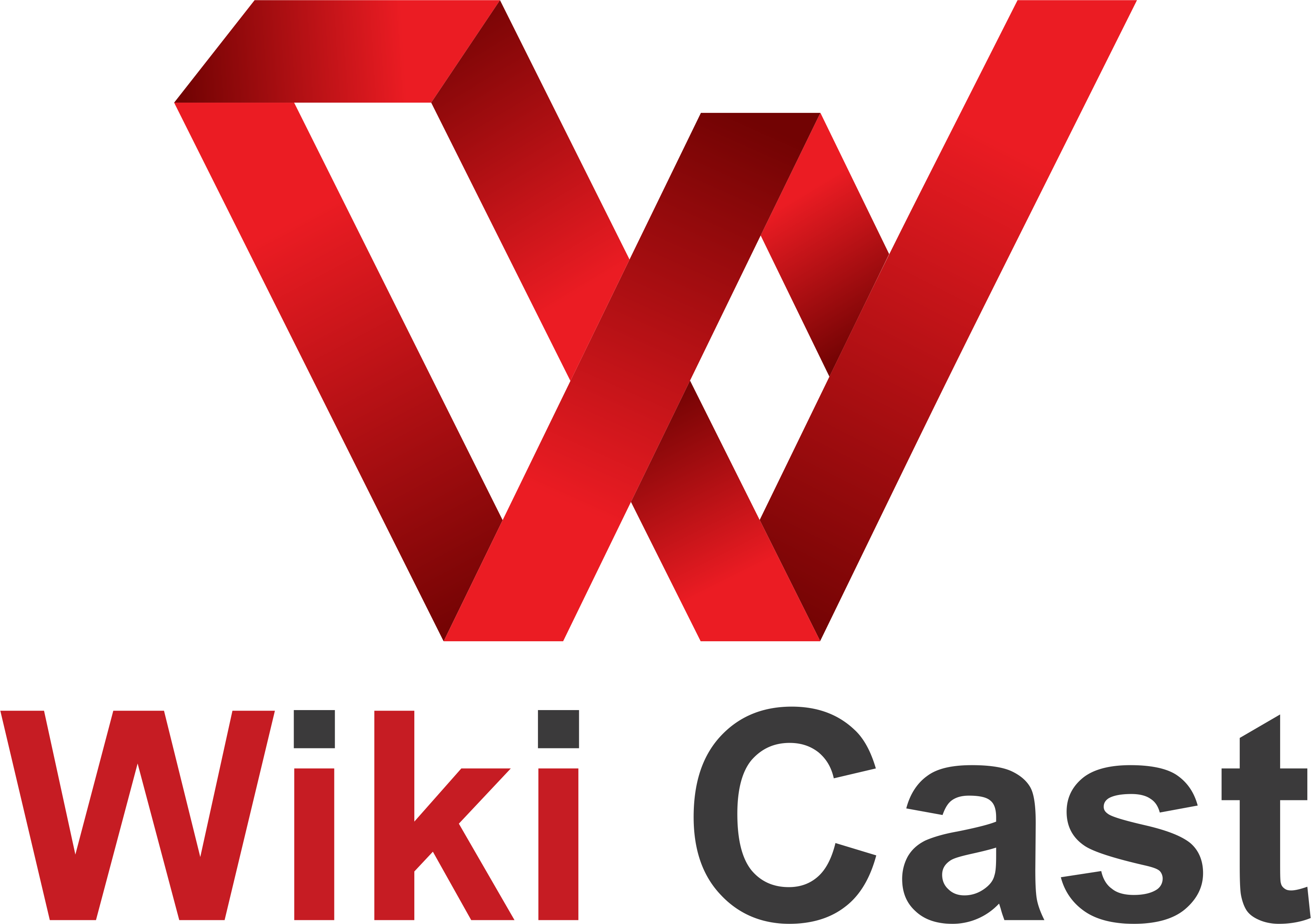 Sony TV The Wiki Cast
